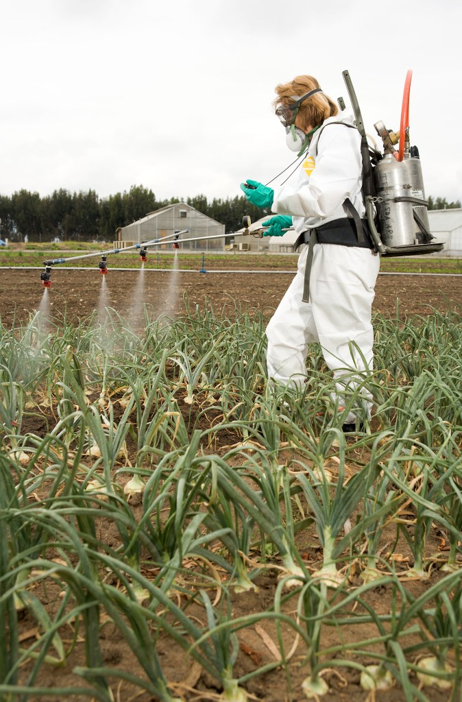 Why You Can’t Wash Pesticides off Your Food Anymore | Inspirations and ...